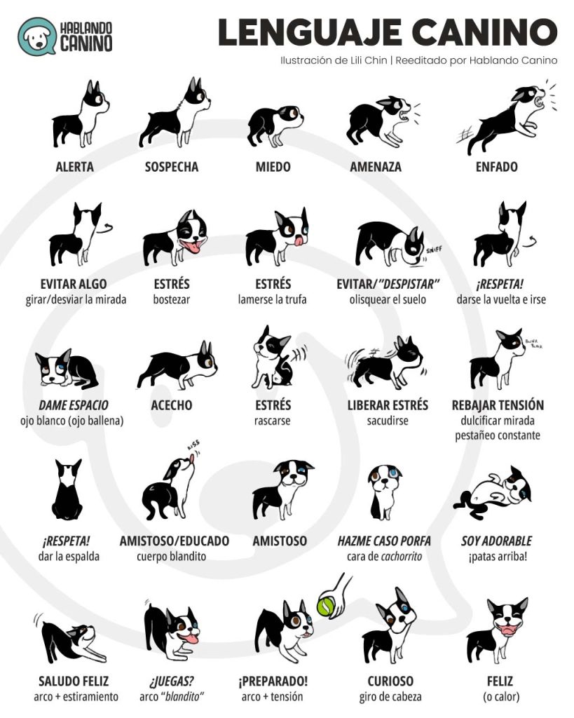 El lenguaje corporal del perro • Hablando Canino